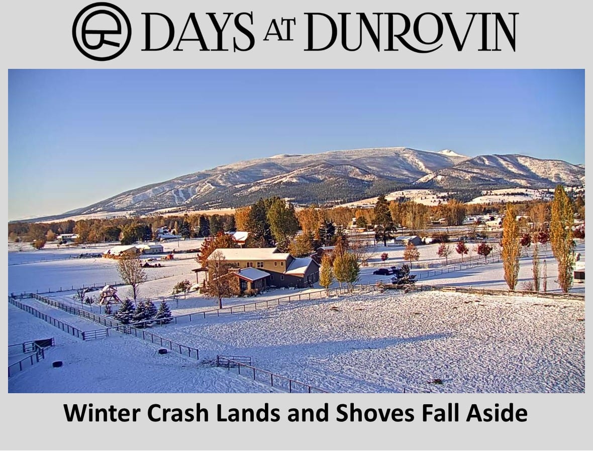 Newsletter (10/25/20) - Days At Dunrovin