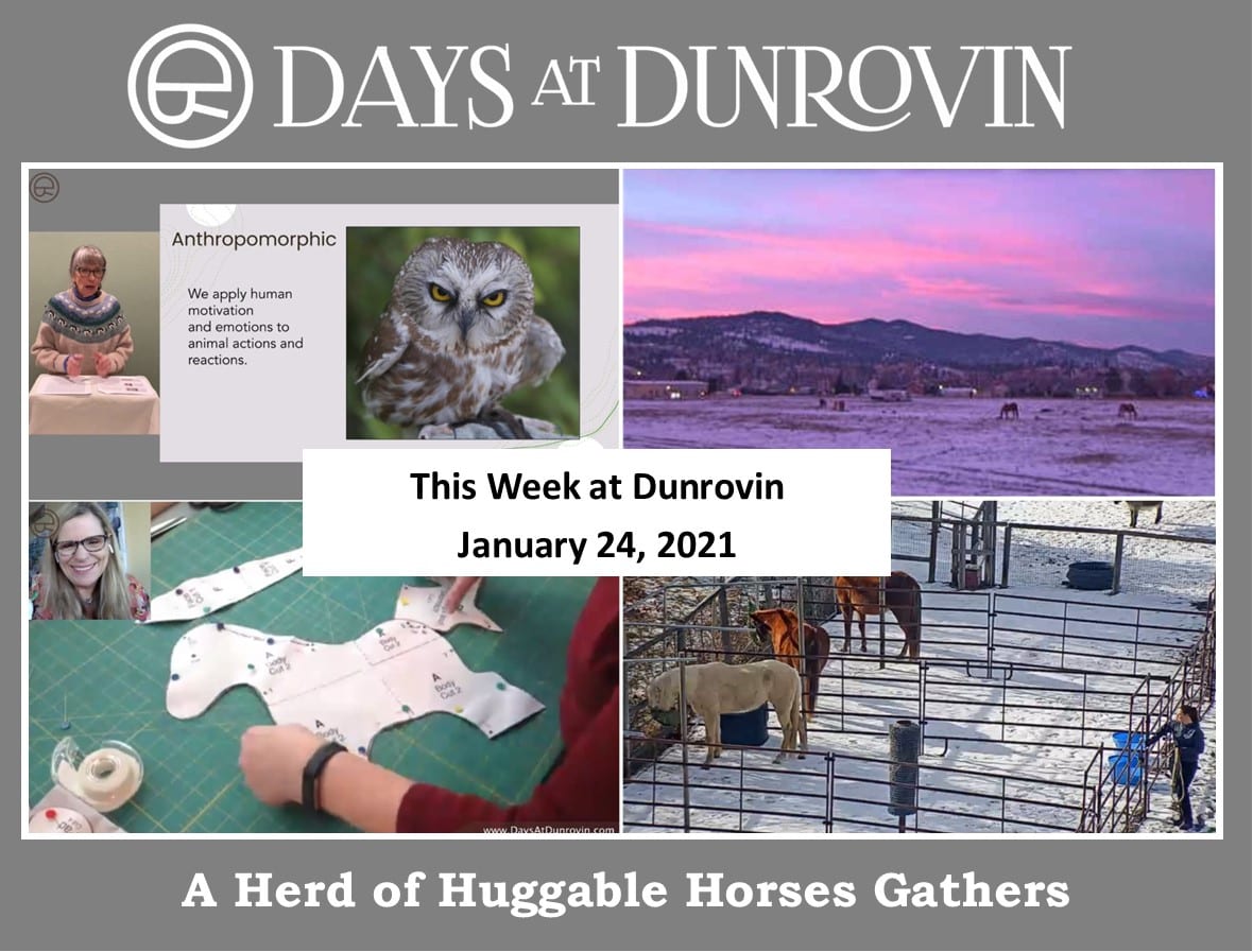 This Week at Dunrovin (01/24/21) - Days At Dunrovin