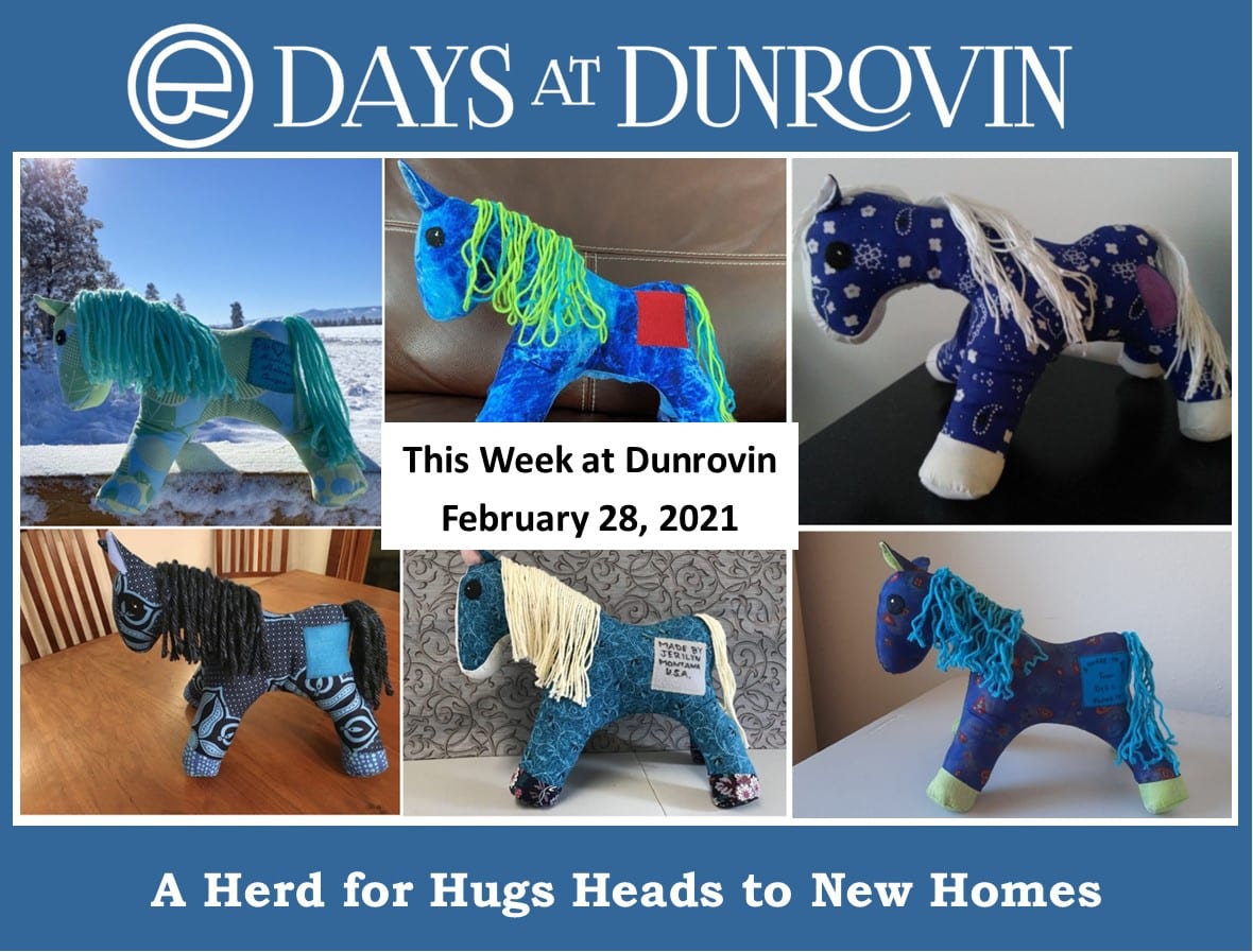 This Week at Dunrovin (02/28/21) - Days At Dunrovin